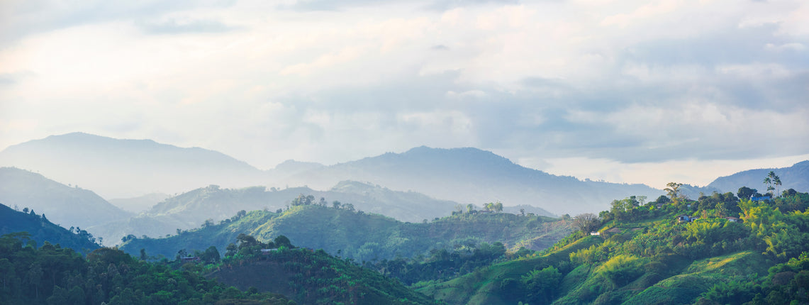 Vaccinations for Colombia | LloydsPharmacy